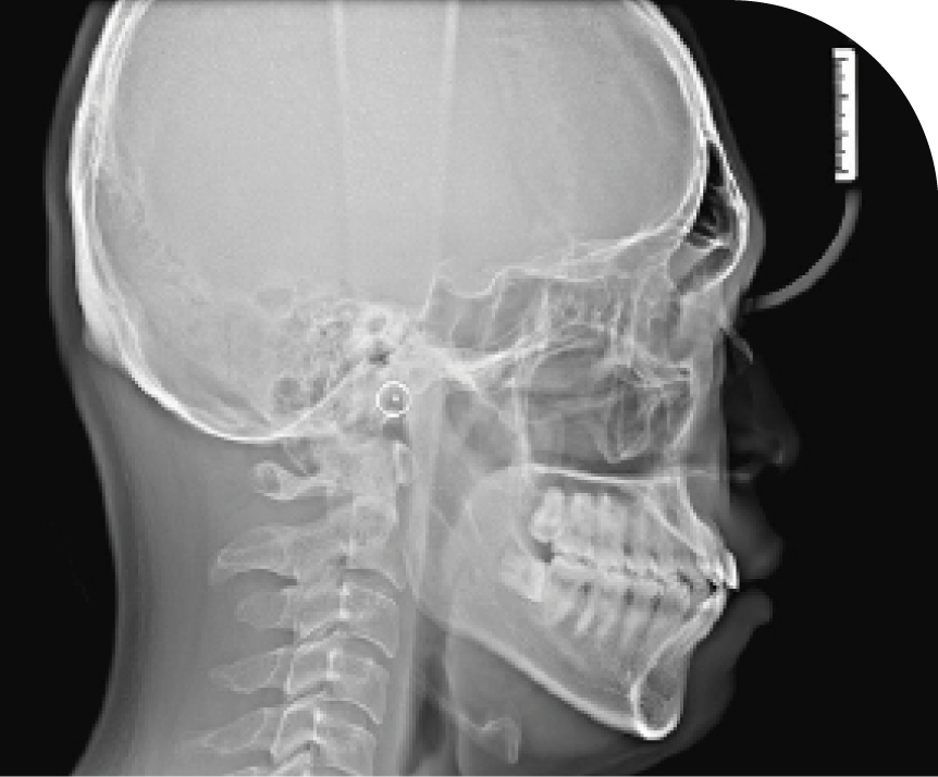 Our Services – Dental and Facial Imaging